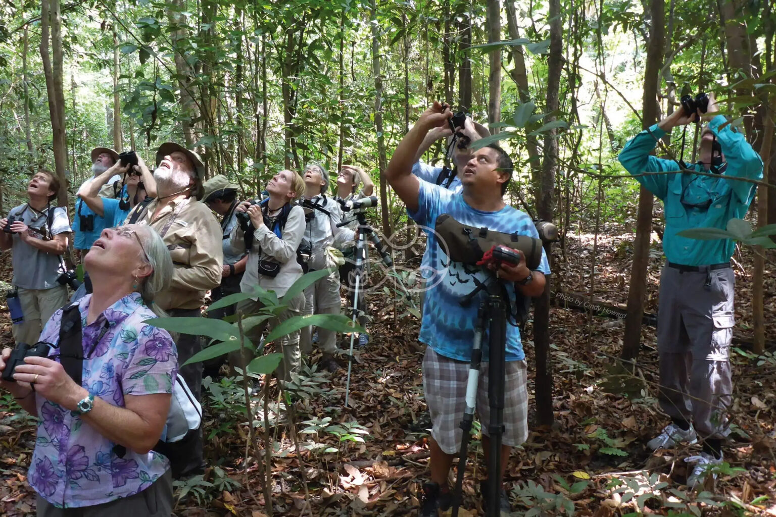 40 years Amazônia Expeditions Brazil - Amazonia Expeditions