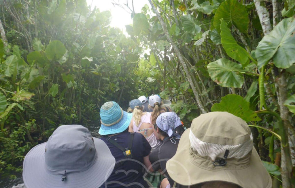 Expedtions - immersive journeys designed to experience Amazônia